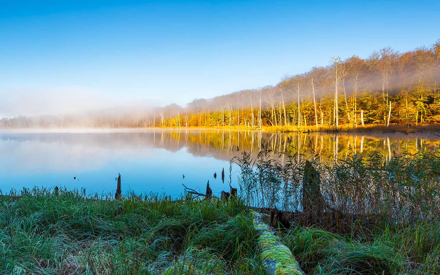 Naturschönheiten Deutschlands für einen perfekten Kurztrip