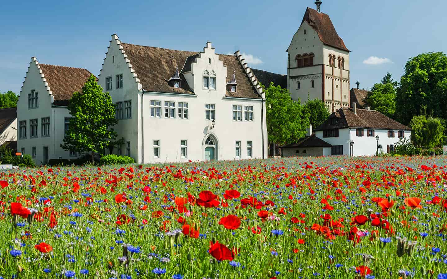Bodensee Sehenswürdigkeiten – unsere Top 10