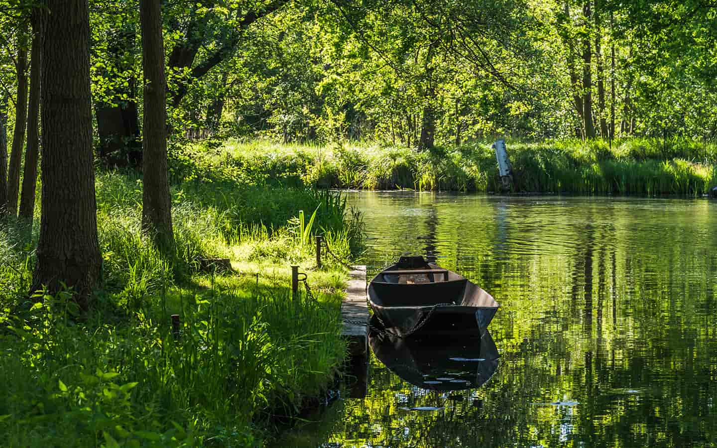 Unsere Geheimtipps für ein Wochenende im Spreewald