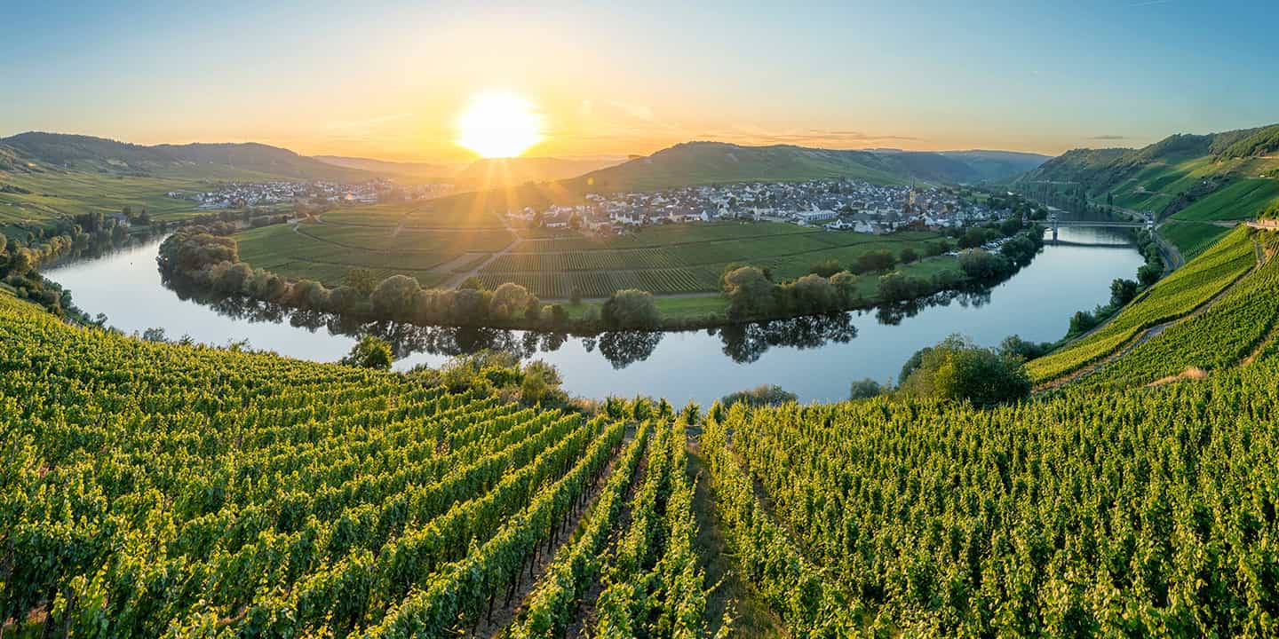 Faszination Mosel - mehr als nur Wein